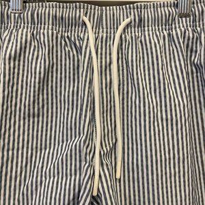 GAP | Swim | Mens Blue And White Stripped 6in Seam Bathing Suit | Poshmark